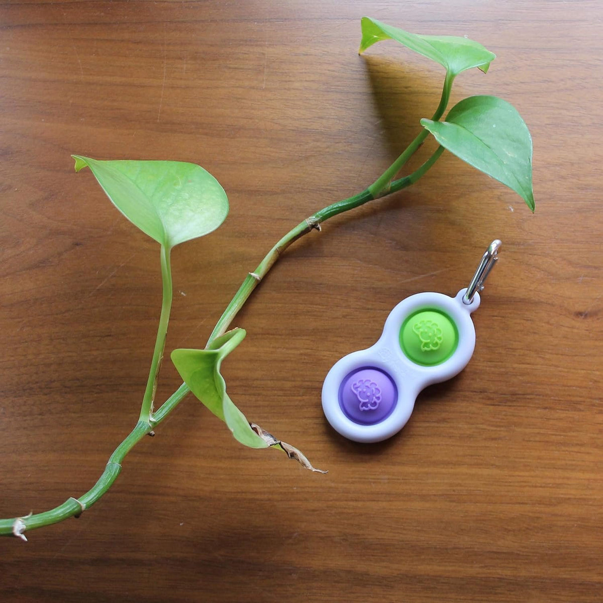 Fat Brain Toys Simpl Dimpl - Simple Dimple - Purple/Lime - Popping Fid ...